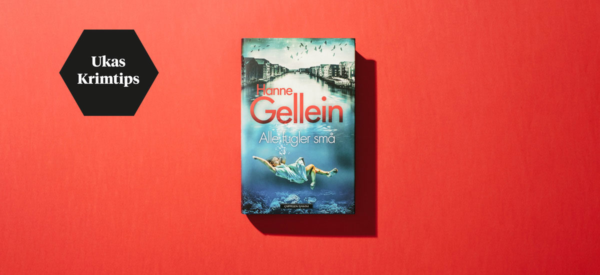 Krimdebutant Hanne Gelleins «Alle fugler små»: – Blodig lovende | Boktips