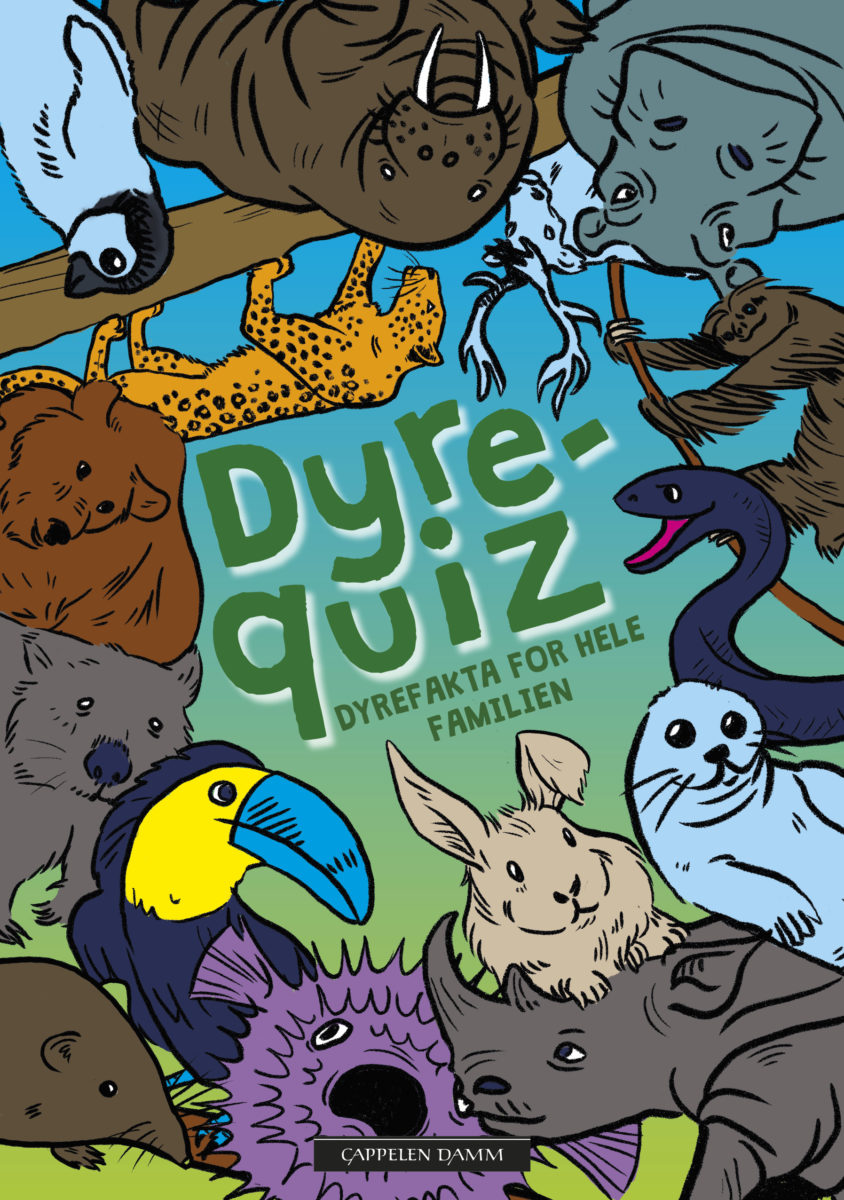 Quiz for barn til sommerferien | Boktips