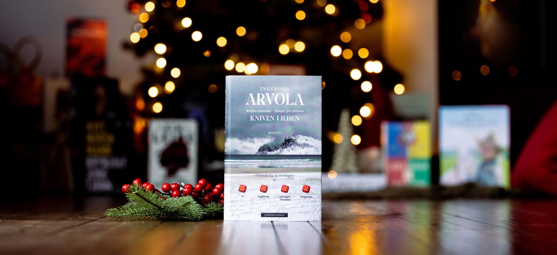 Bøker i julegave | De beste julegavetipsene 2022 | Romaner, krim | Boktips