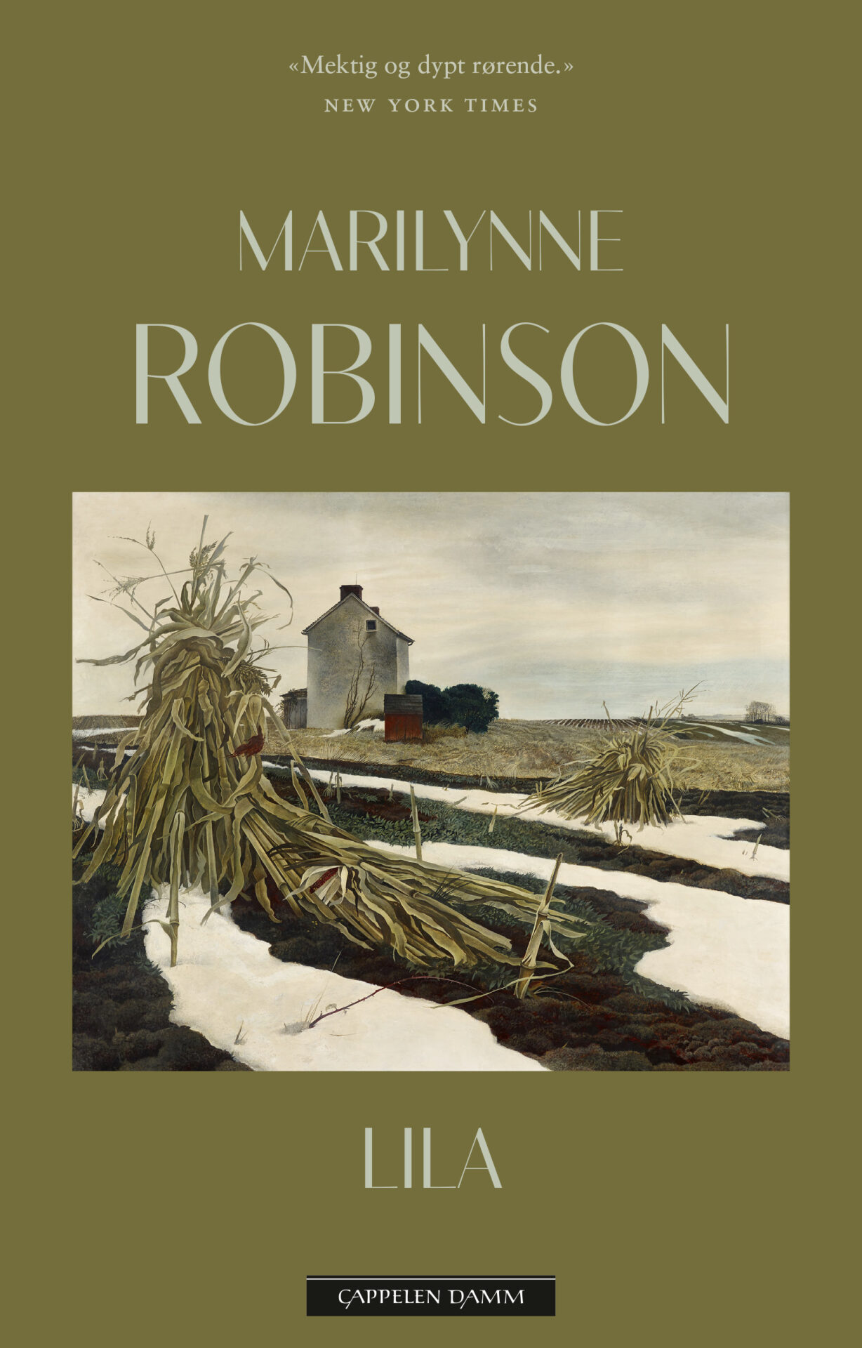 «De tre»: Ny roman fra forfatteren bak «Å vanne blomster om kvelden»
