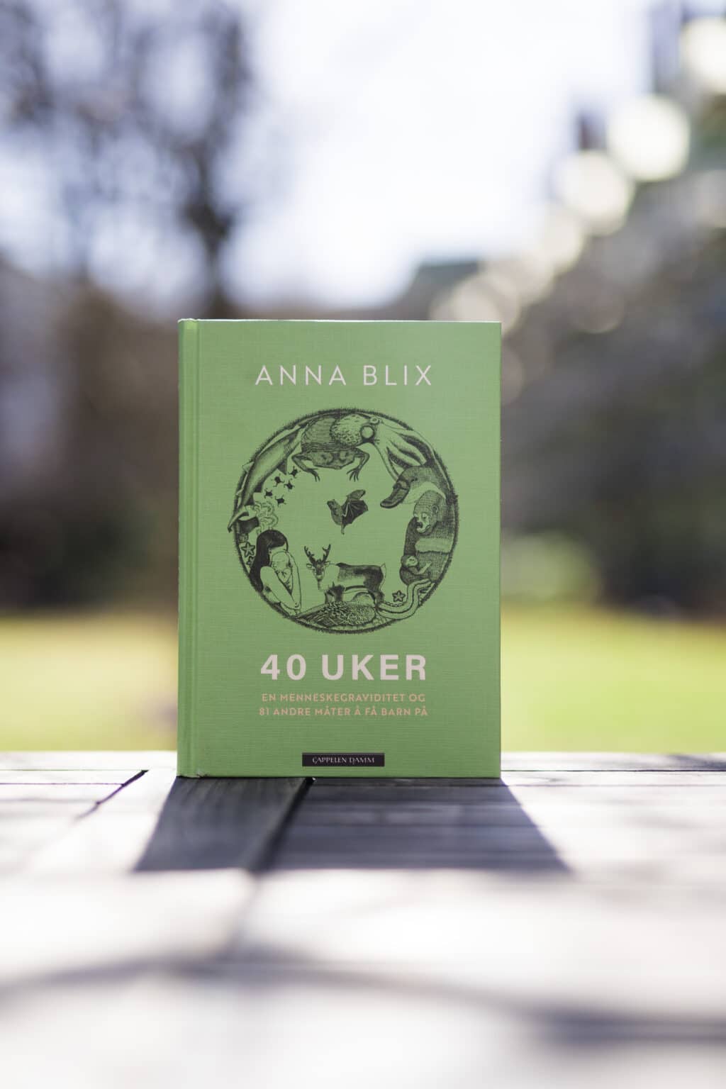 En annerledes bok om graviditet: «40 uker» får terningkast 6 | Boktips