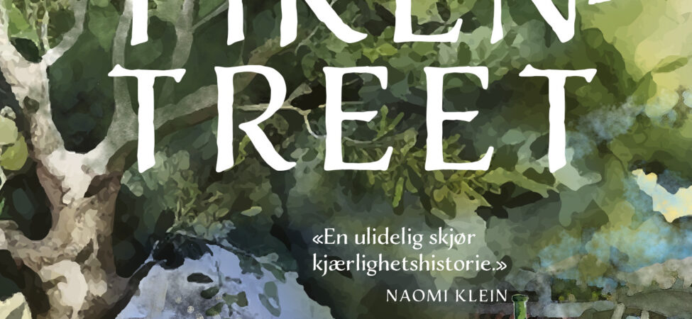 Årets beste romaner | Beste bøker 2022 | Boktips