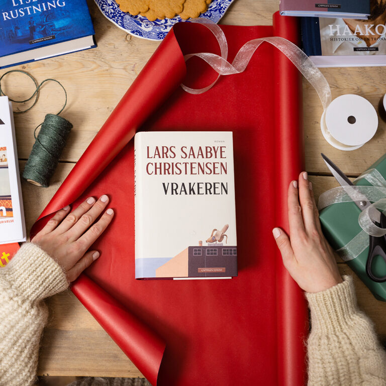 Julegavetips 2023: Denne lista er alt du trenger | Boktips