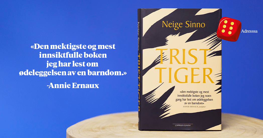 Boka blir hyllet av kritikere og Nobelprisvinner Annie Ernaux. Nå er ...